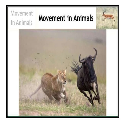 Chapter 10 movement inanimals | PPT