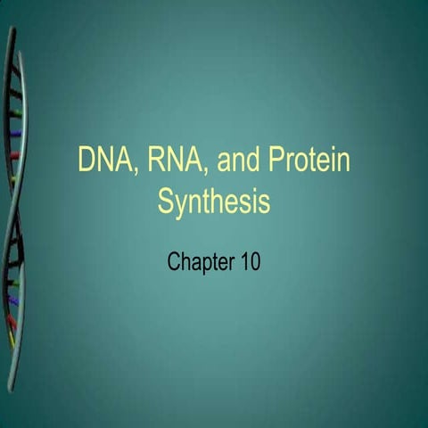 Chapter 10 Notes Pptx