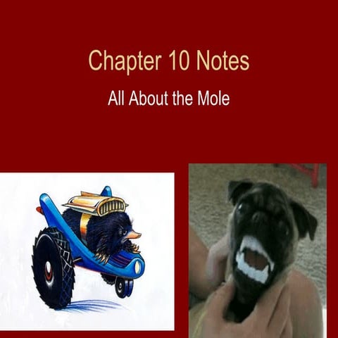 Chapter 10 notes | PPT