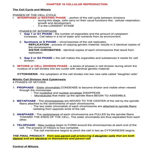 Cell Division Notes | DOC