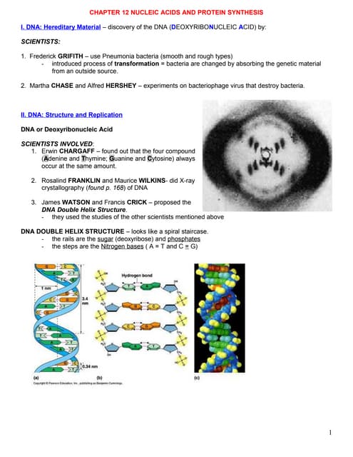 Construction of Synthetic Genes of the Aciniform Spider Silk Protein ...