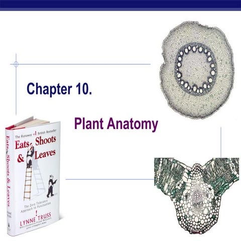 Chapter 10 (2) | PPT