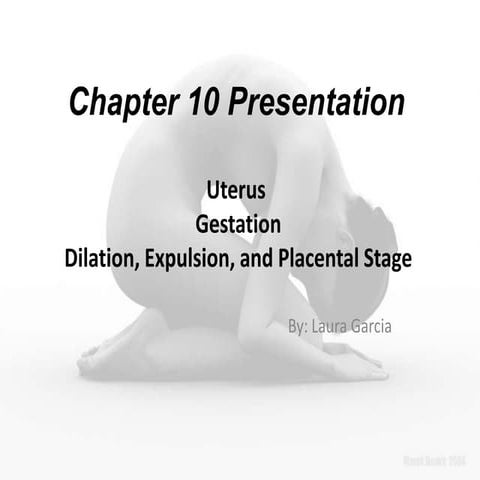 Chapter 10 presentation | PPTX