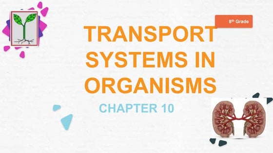 Transportation in animals and plants | PPTX