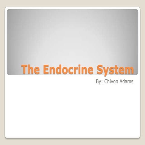 Endocrine System Anatomy | PPTX