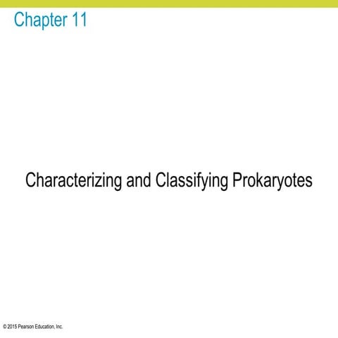 Chapter 11.pdf