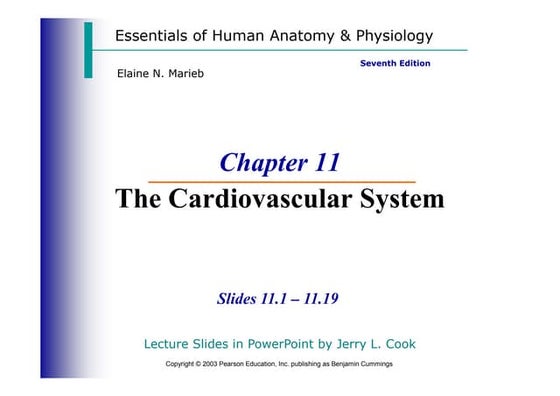 The cardiovascular system part a manaphy | PPT