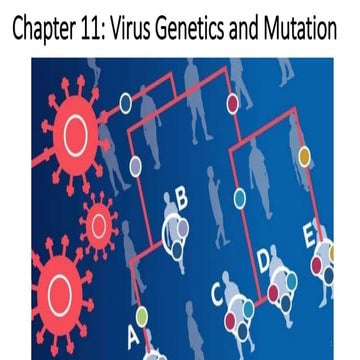Chapter 11 Virus genetics and mutation.pptx