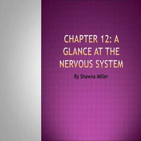 Chapter 12 the nervous system | PPT