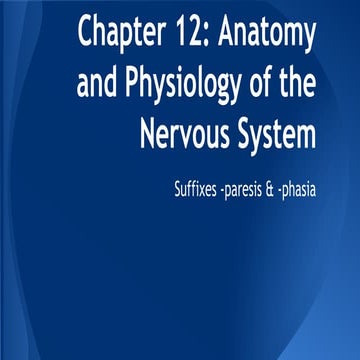Chapter 12: The Nervous System | PPT
