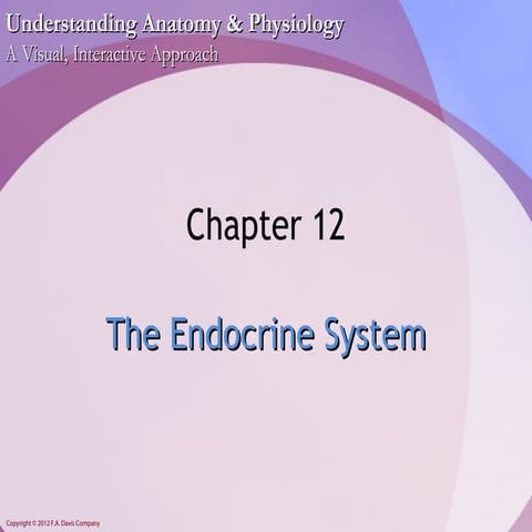 Chapter12 - Endocrine System | PPT