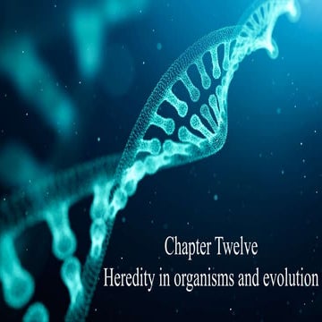 Heredity and Evolution | PPTX | Biological Sciences | Science