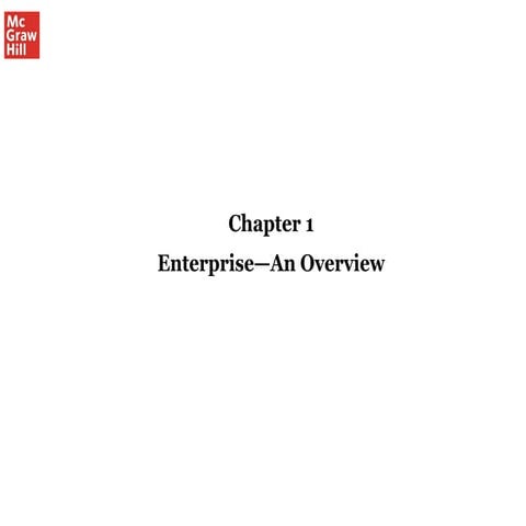 Chapter_1 (2).ppt erp presentation by mam | PPT