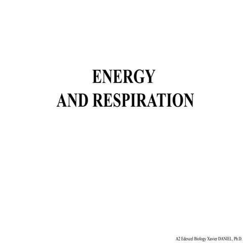 CHAPTER 12- ENERGY AND RESPIRATION .pptx