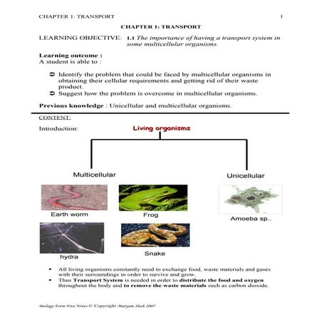 Chapter Transport Biology SPM | PDF