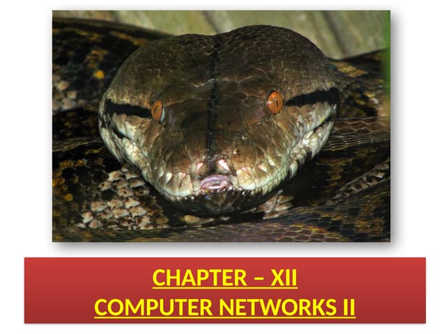 internet protocol | PPTX | Computer Networking | Computing