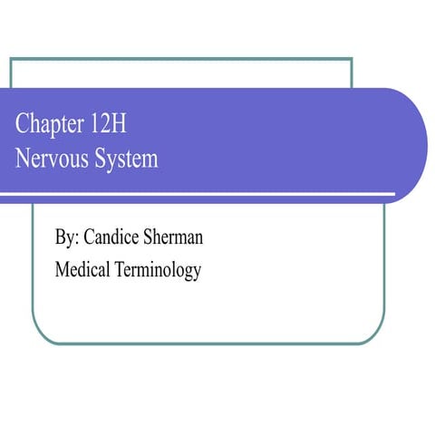 Nervous system chapter 12 | PPTX