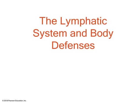 Lymphatic System Notes | PPT