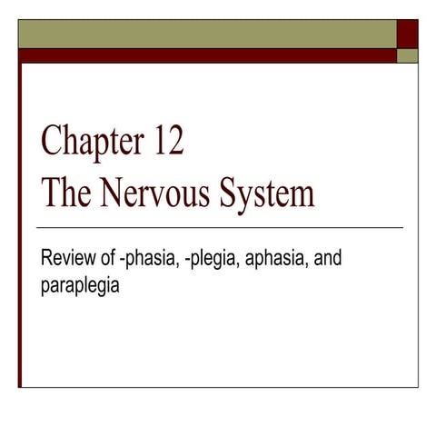 Chapter 12: The Nervous System | PPT