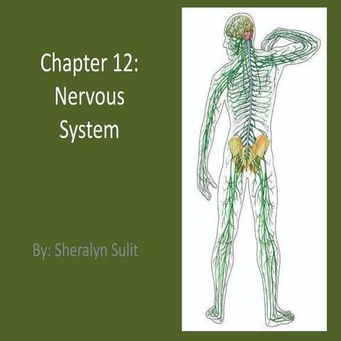 Chapter 12 presentation | PPTX