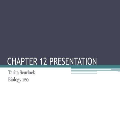 Chapter 12 presentation | PPT