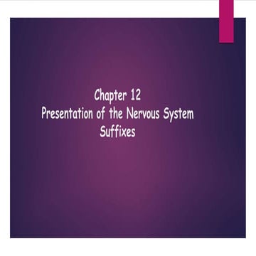 Chapter 12 presentation- The Nervous System | PPT