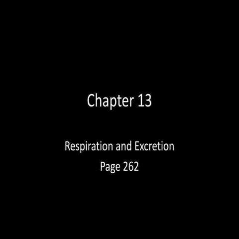 Chapter 13 | PPTX