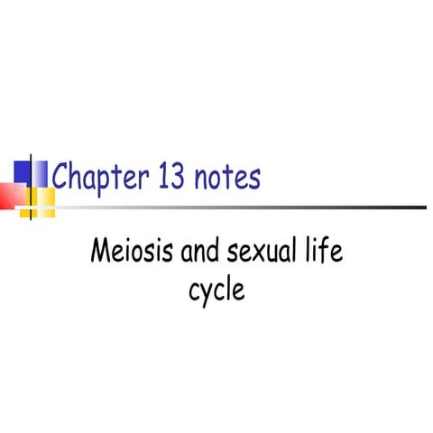 Chapter 13 | PPT
