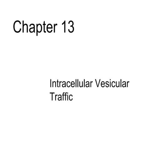 Chapter13 | PPT