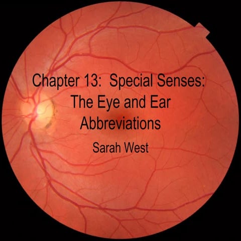 Chapter 13 - Special Senses: Eye and Ear Abbreviations | PPTX
