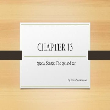 Chapter 13 | PPTX