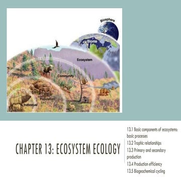 Bio464 Chapter 13 : Ecosystems Ecologyyy | PPT