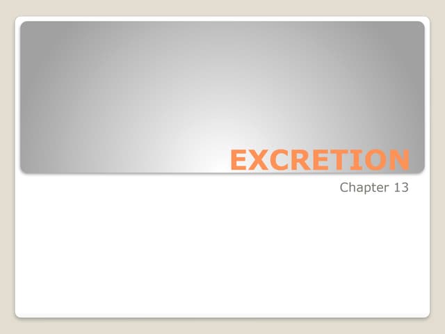 Chapter 13.1- EXCRETION IN HUMANS IGCSE BIO | PPTX Chapter 13.1- EXCRETION IN HUMANS IGCSE BIO | PPTX