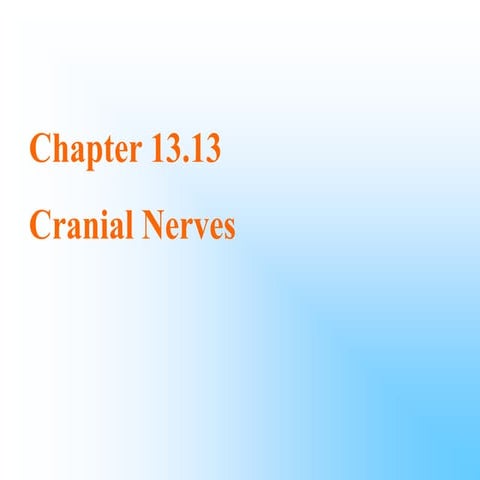 Ch 15 sensory pathways | PPT