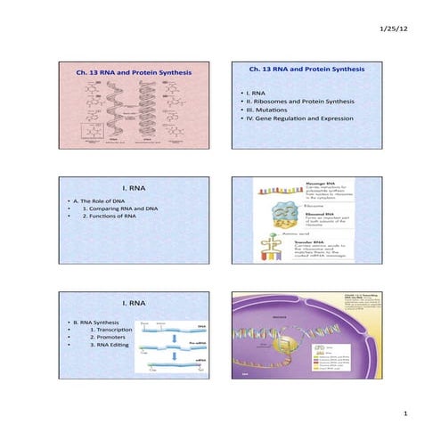 Chapter13 rna protein synthesis | PDF