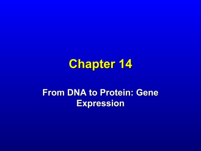 02 The Role of DNA in Protein Synthesis | PPT
