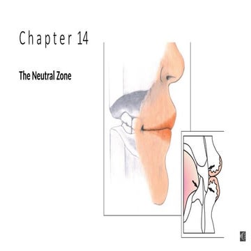 C h a p t e r 14.pptx Dawson neutral zone chapter 14 ,15 | PPTX