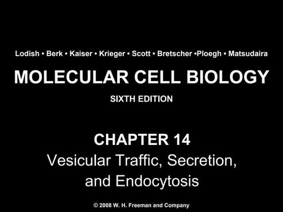 Msn Endocytosis | PPT