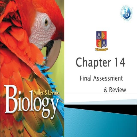 Chapter 14 Assessment & Review | PPT