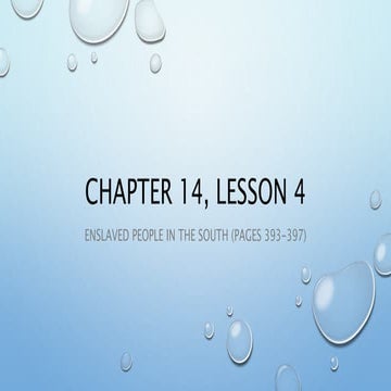 Chapter 14, lesson 4 enslaved people in the south | PPTX
