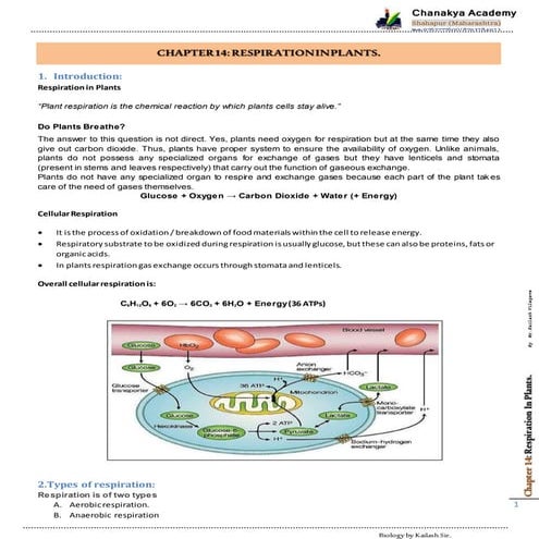 respiration in plants | PPTX