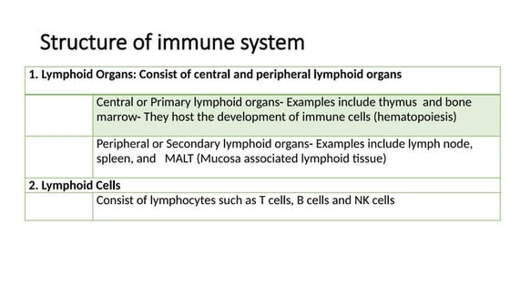 Thymus | PPT