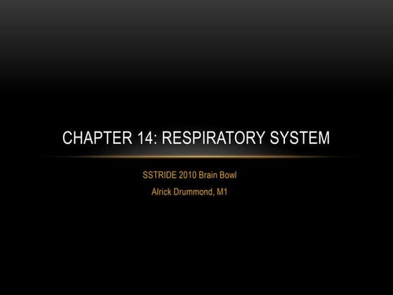 Function of Respiratory System of Human Body | PPT