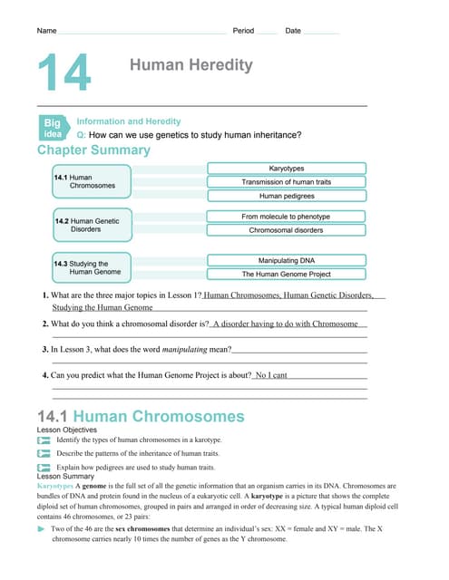 Chapter Summary Worksheet