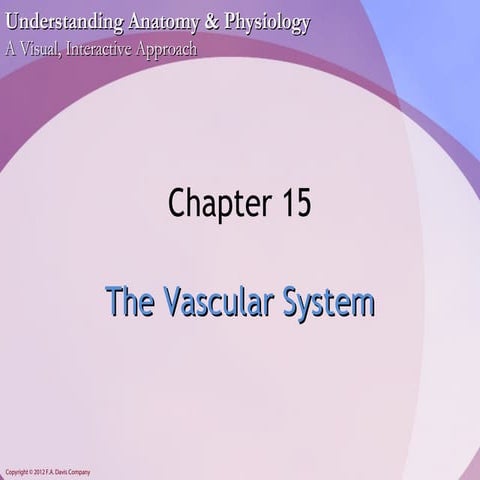 Chapter15 - The Vascular System | PPT