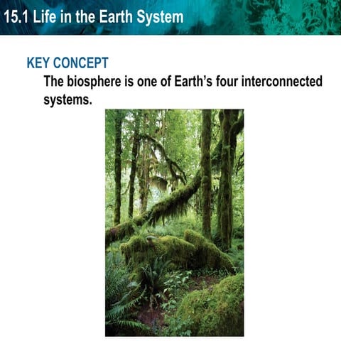 life in the earth Chapter__15.1_Power_Point.ppt