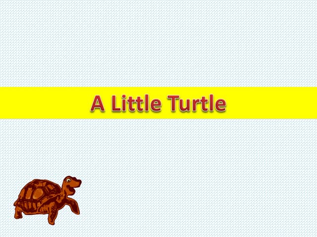 Chapter 15 – A Little Turtle.ppt hhauhhhgg | PPT Chapter 15 – A Little Turtle.ppt hhauhhhgg | PPT