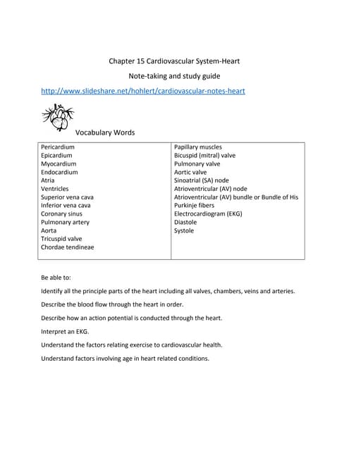 The Circulatory System Worksheet.pdf | Heart and Cardiovascular ...