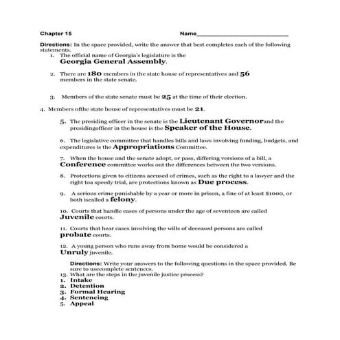 Georgia state government | PPTX