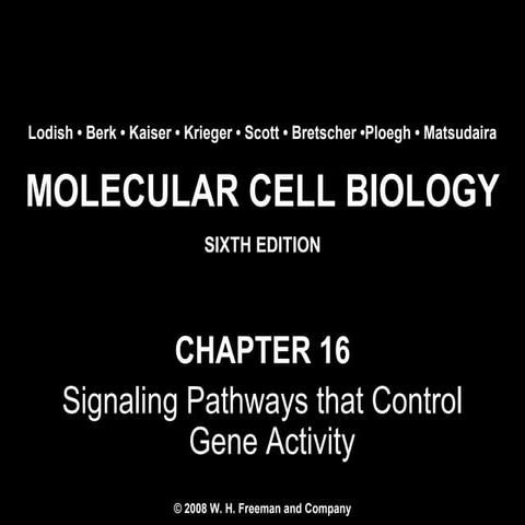 Molecular Cell Biology Lodish 6th.ppt - Chapter 16 cell signaling ii ...